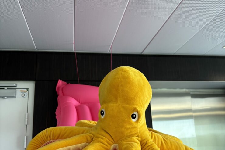 Happly : l’application de votre CSE – Actuneos